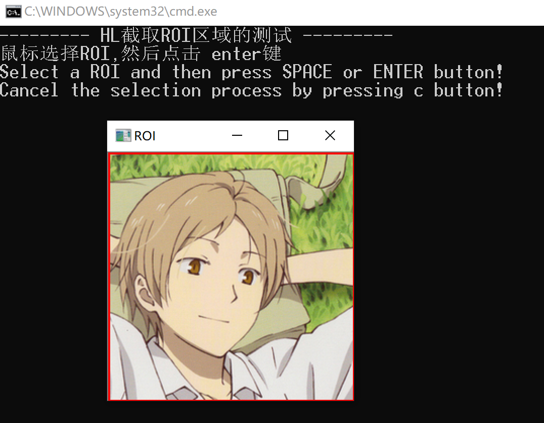 OpenCV用不同的方法截取ROI区域（python）_cv2 roi-CSDN博客