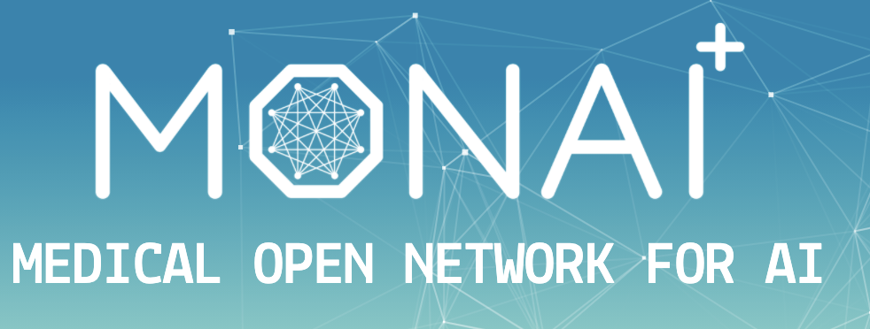 一款专门为医学图像定制的框架（MONAI），太好用了！_monai医学图像-CSDN博客