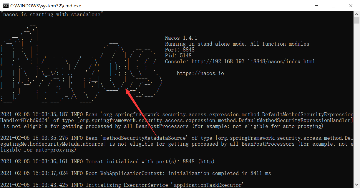 Nacos的安装和使用_nacos启动标志-CSDN博客