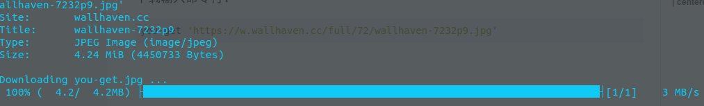you-get下载神器的安装和使用_you-get git-CSDN博客