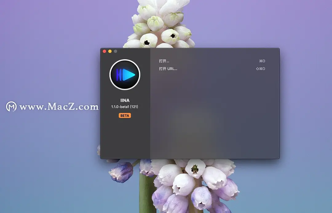 IINA for Mac(在线视频播放器)_在mac上视频用iina软件不能播放-CSDN博客