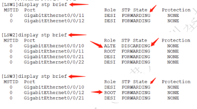 STP协议的使用及代码的实现_stp协议源码解析-CSDN博客