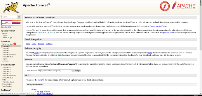 windows10环境下tomcat 10的安装与配置（超详细）_win10配置tomcat10-CSDN博客