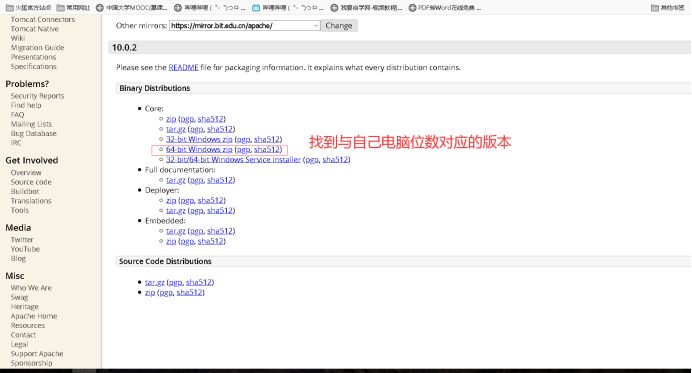 windows10环境下tomcat 10的安装与配置（超详细）_win10配置tomcat10-CSDN博客