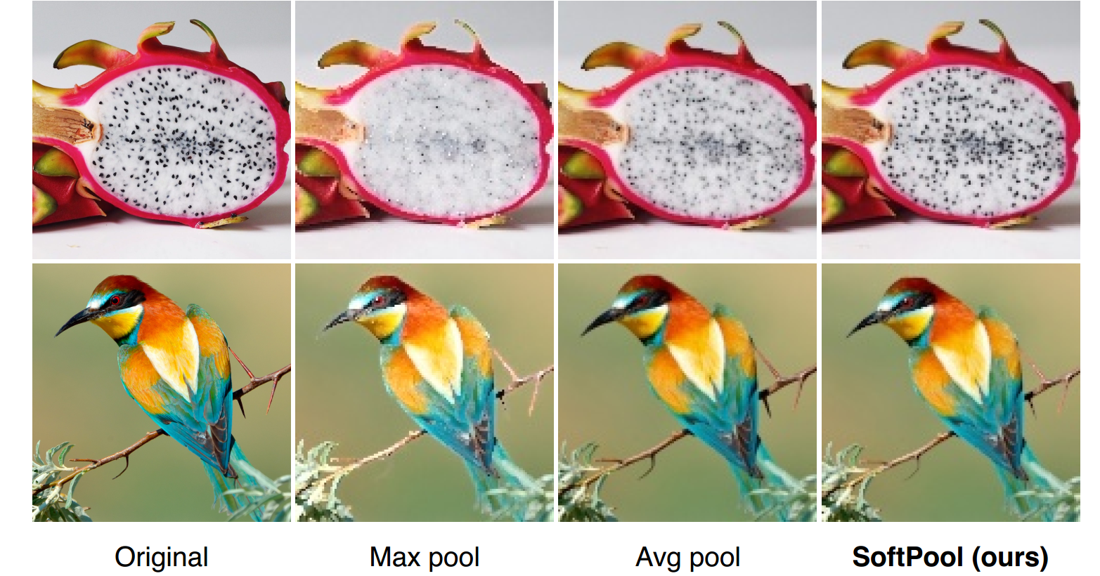 深度学习：SoftPool : Refining activation downsampling with SoftPool-CSDN博客