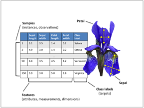 Softmax激活函数计算解析及MLP多分类器应用_基于多层感知器 (mlp) 的 softmax 多分类-CSDN博客