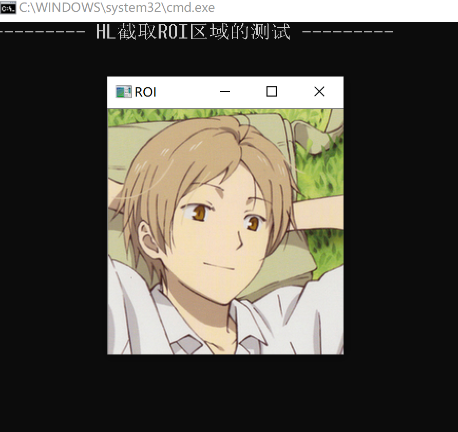 OpenCV用不同的方法截取ROI区域（python）_cv2 roi-CSDN博客