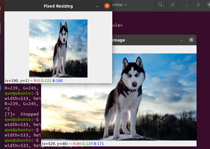 计算机视觉入门教程之调整图像大小_200*200px怎么调-CSDN博客