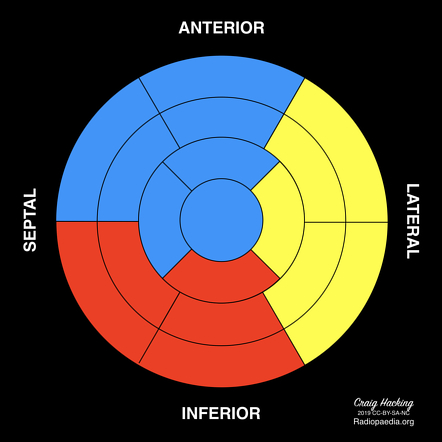 matplotlib 绘制心肌模型图方法一：Axes.pie_csdn绘制心机模型图-CSDN博客