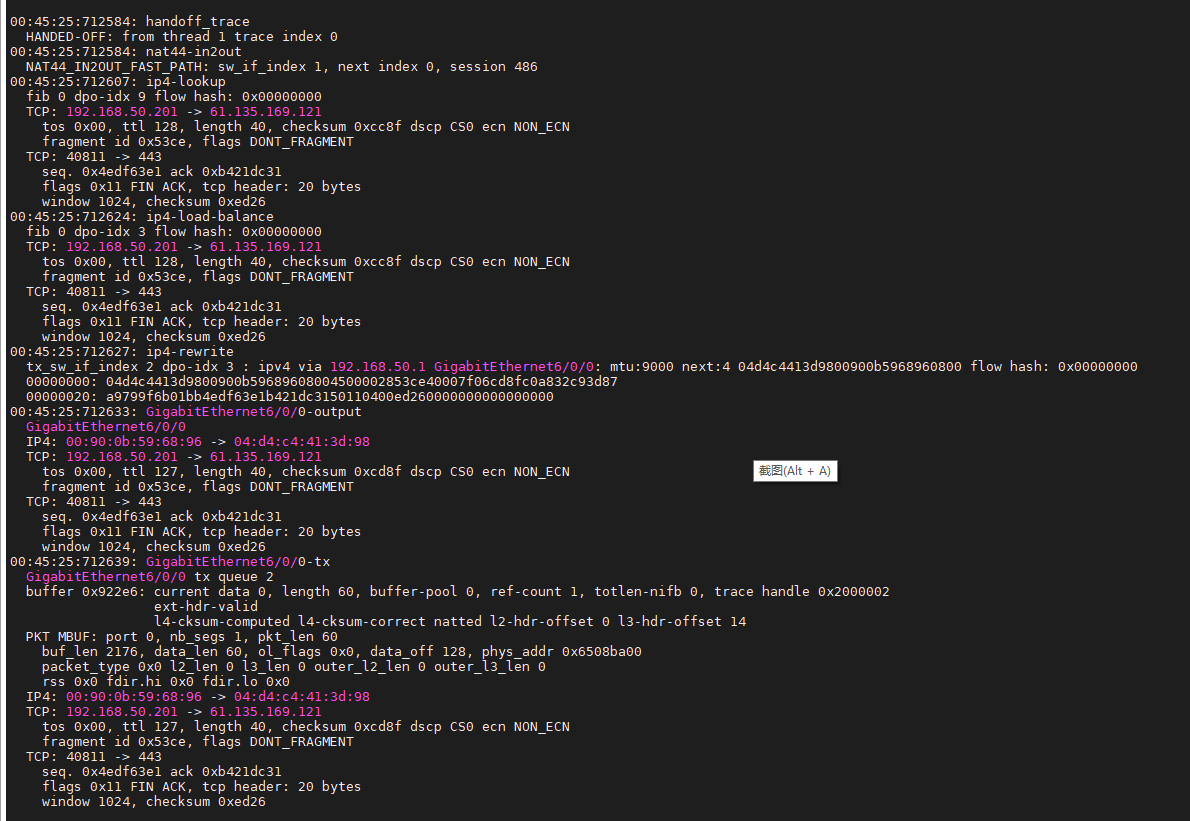 VPP添加nat测试-通过vpp中的nat使主机访问外网_vpp show trace-CSDN博客