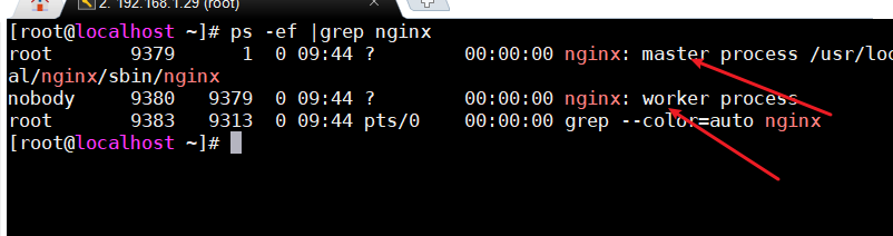 Nginx基础入门总结nginx转发 Csdn博客 