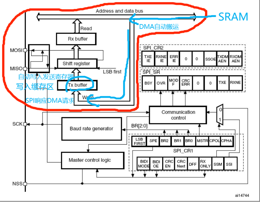 STM32 7针0.96寸OLED显示屏（硬件SPI+DMA）无需内核响应 超高刷新率！_0.96oled速率-CSDN博客