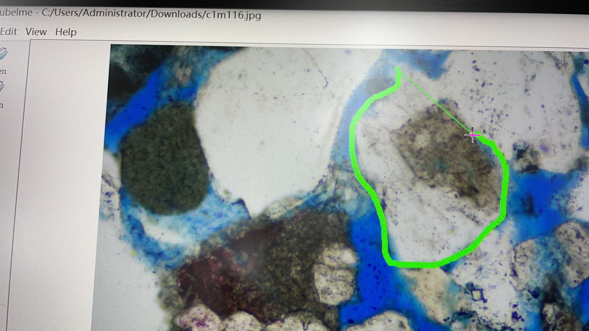 Mouse track visualization component - Programmer Sought