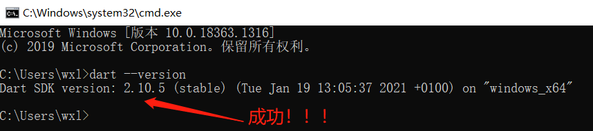 踩坑(已解决)：Windows系统Dart SDK下载安装与使用_安装 dart 提示连接服务器失败-CSDN博客