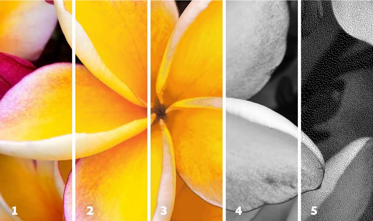 opencv-python(六)：颜色空间及转换_cv2.color-CSDN博客