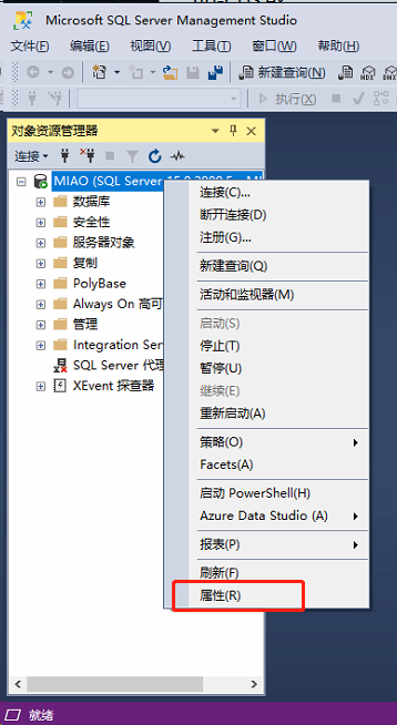 Microsoft SQL Server 2019安装和设置用户密码_安装2019数据库配置报表服务需要用户名和密码-CSDN博客