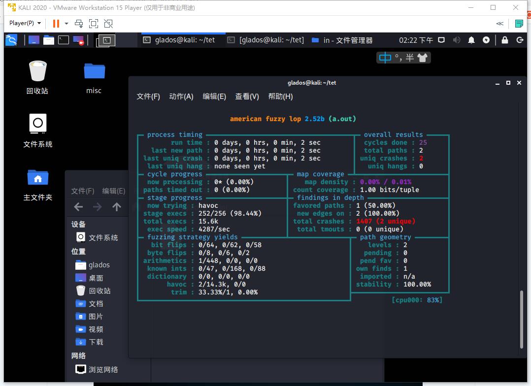 AFL——American Fuzzy Lop的基础使用_afl-analyze 用法-CSDN博客