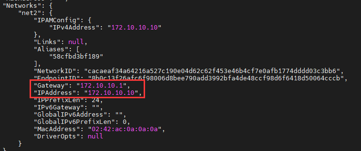 容器网络_如何创建一个名为netl的brudge网络-CSDN博客
