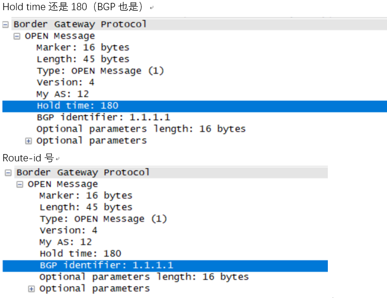 BGP4+（基本配置、通过抓包查看报文的消息类型）_bgp4+ 报文-CSDN博客