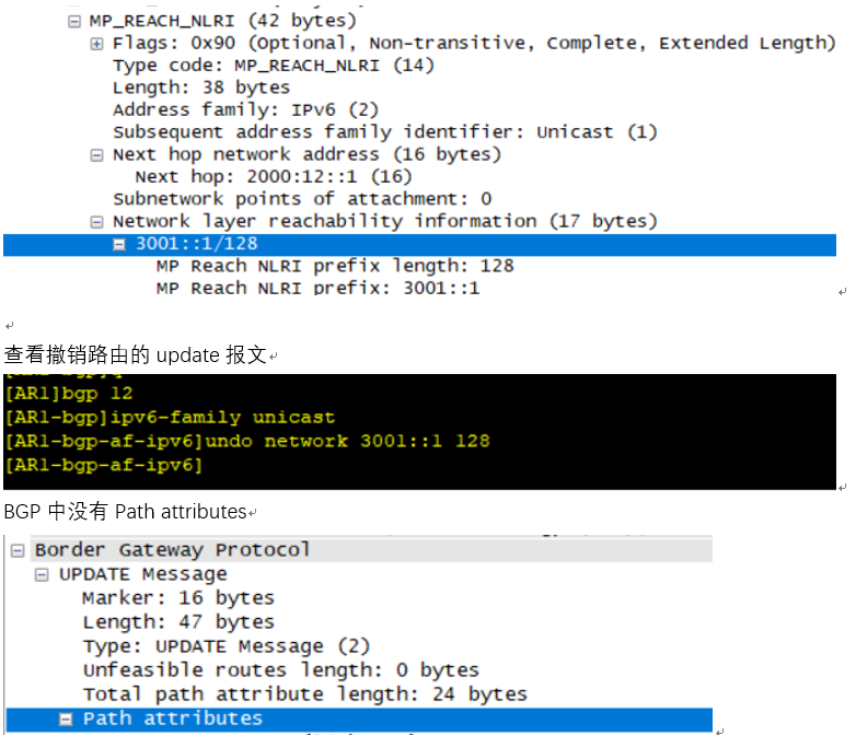 BGP4+（基本配置、通过抓包查看报文的消息类型）_bgp4+ 报文-CSDN博客