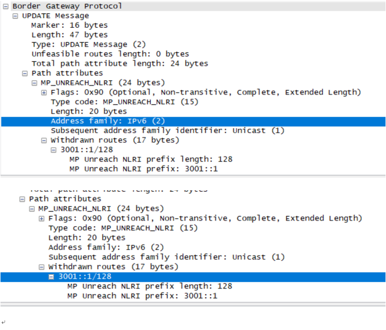 BGP4+（基本配置、通过抓包查看报文的消息类型）_bgp4+ 报文-CSDN博客