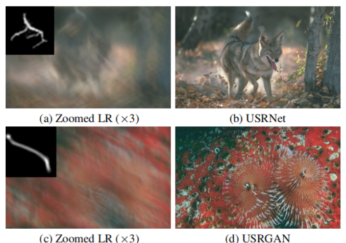 CVPR2020：Deep Unfolding Network for Image Super-Resolution解读_深度展开网络_hbw136的博客-CSDN博客