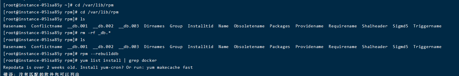 linux下使用yum命令提示错误：无法使用 db5 - (-30973) 打开 Packages 索引_无法使用 db5 - 权限不够 (13) 打开 packages 索引-CSDN博客