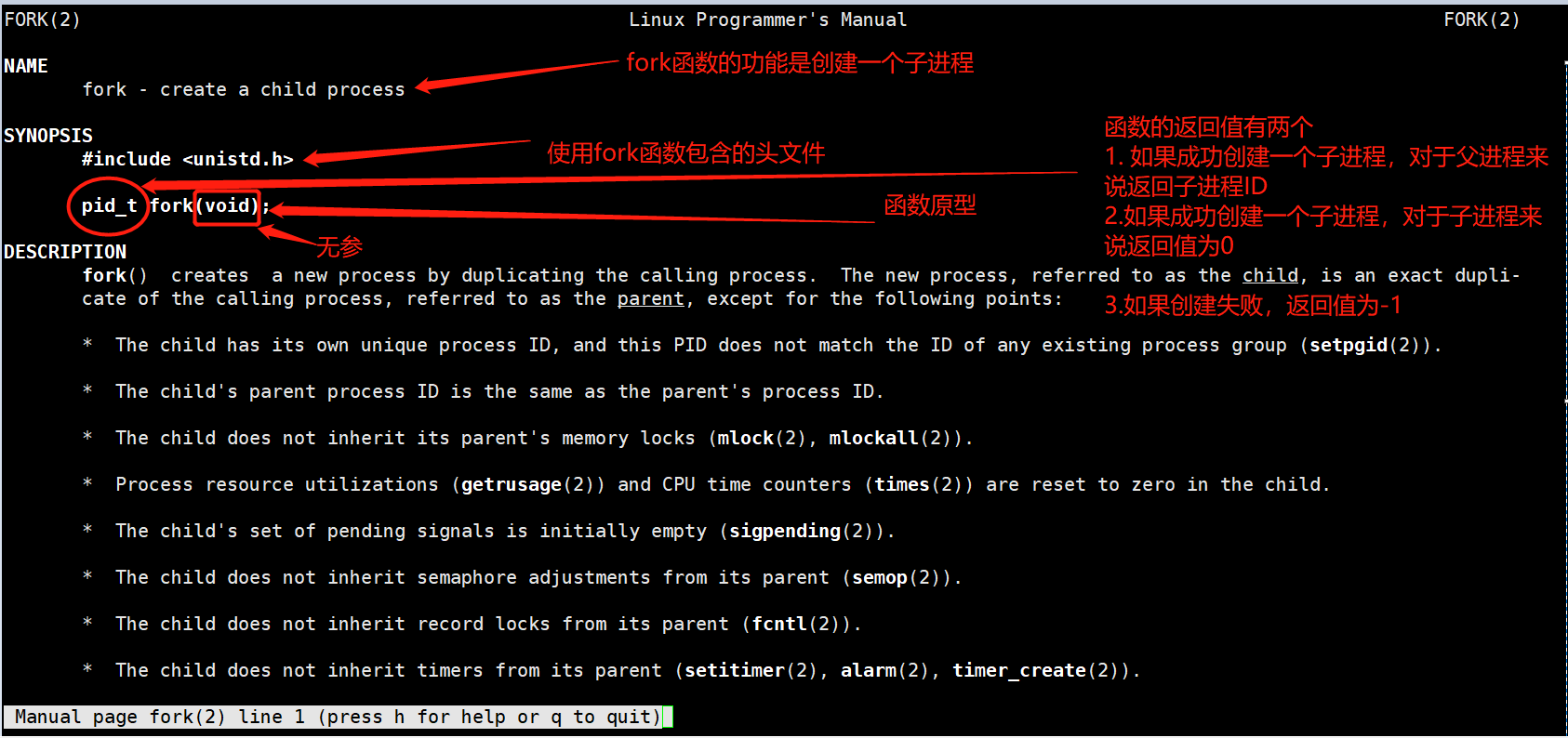 Linux进程控制——进程创建(fork函数)、进程终止(exit和_exit函数)和进程等待(wait和waitpid方法)_fork exit-CSDN博客