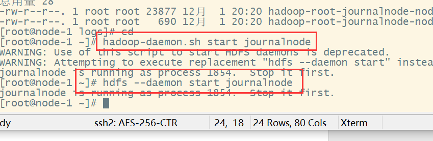 启动Hadoop HA集群的详细步骤_hadoop yarn ha 启动 过程-CSDN博客