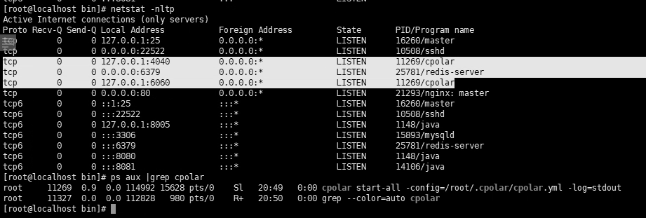 cpolar最好用的Linux内网渗透工具-CSDN博客