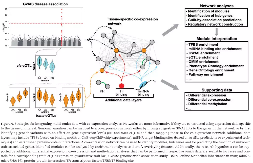 Gene co-expression analysis for functional classification and gene ...