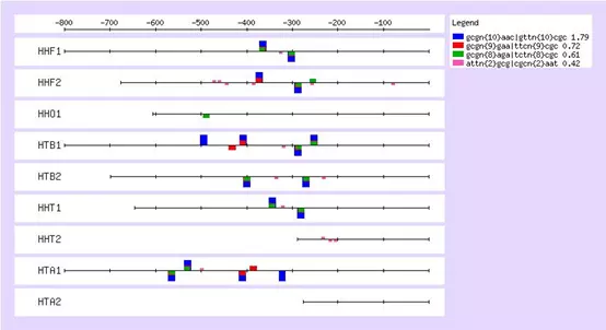 转录因子详细介绍(motif)_转录因子motif-CSDN博客