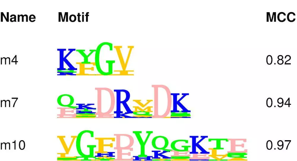 转录因子详细介绍(motif)_转录因子motif-CSDN博客