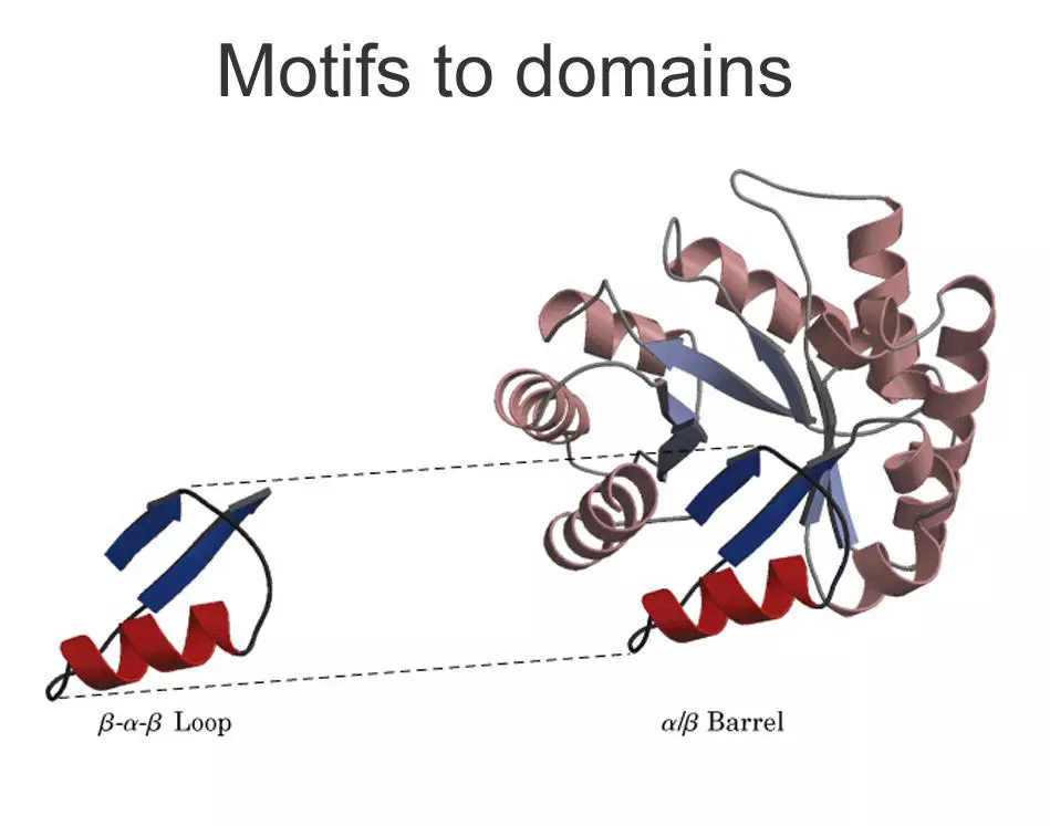 转录因子详细介绍(motif)_转录因子motif-CSDN博客