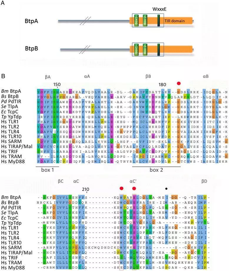 转录因子详细介绍(motif)_转录因子motif-CSDN博客