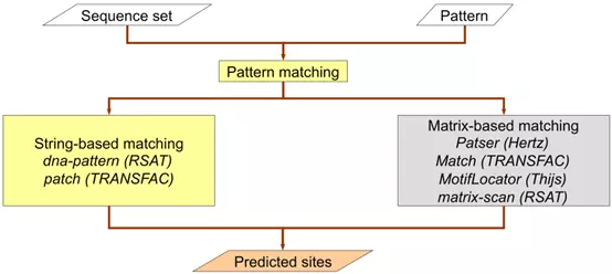 转录因子详细介绍(motif)_转录因子motif-CSDN博客
