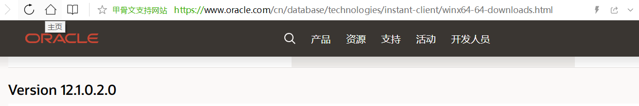 oracle版本迭代更新 10g,11g,12c,18c,19c_oracle 19c里哪个版本比较稳定-CSDN博客