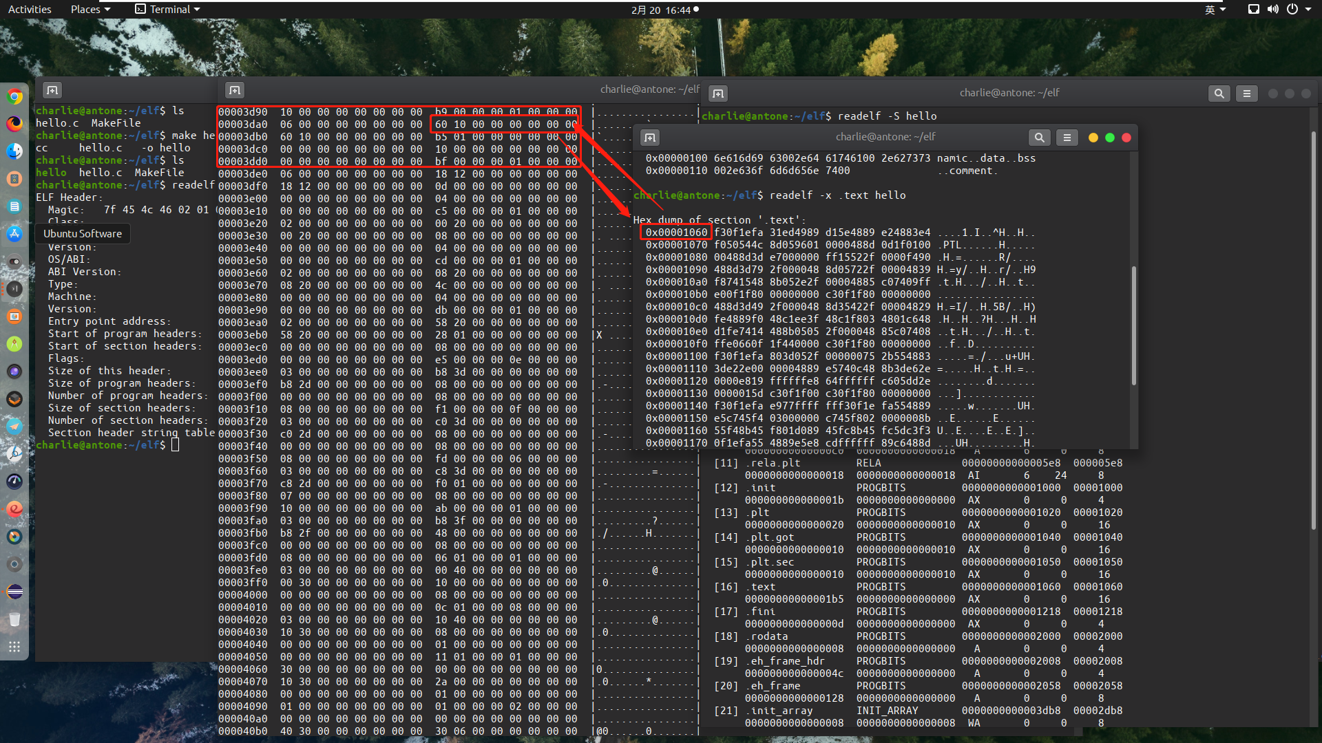 Linux ELF文件_elf.h-CSDN博客