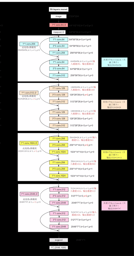 ResNet50对Kaggle数据集dog-breed-identification进行120种分类（附模型搭建代码）_dog-breed-identification数据集图片大小-CSDN博客