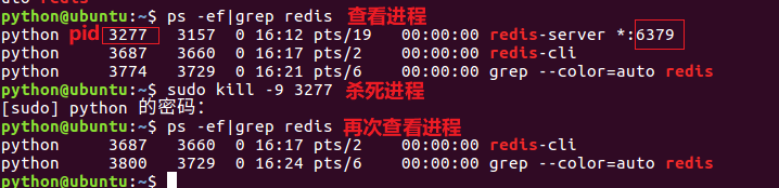 查看redis进程和杀死redis进程的命令windows杀死redis进程 Csdn博客 0351