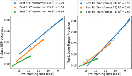 阅读笔记-蛋白质序列预训练ESM_biological structure and function emerge from scal-CSDN博客