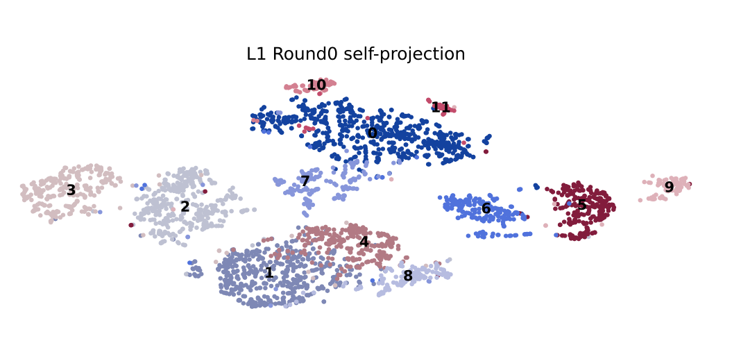 (单细胞-SingleCell）单细胞SCCAF自动化聚类_sccaf_assessment-CSDN博客