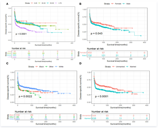 R语言绘制Kaplan-Meier生存曲线_r语言生存曲线代码-CSDN博客