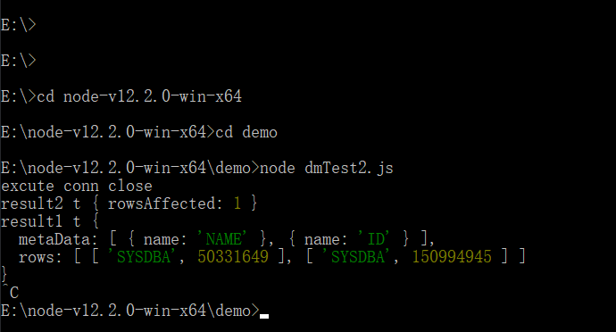 NODE.JS DM数据库驱动简介及搭建_nodejs dm-CSDN博客