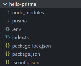 Prisma初体验【逆向生成数据模型】_schema.prisma-CSDN博客
