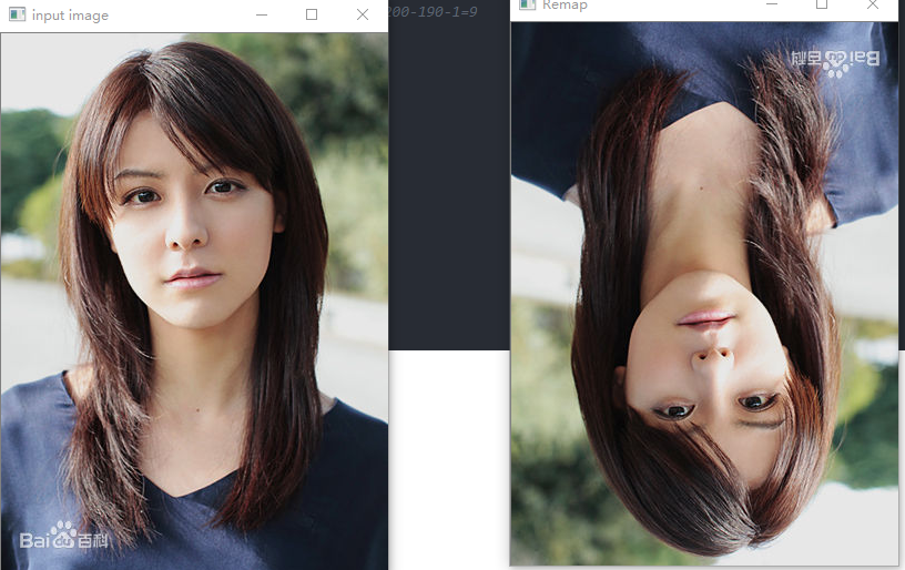 OpenCV-学习历程22-像素重映射（cv::remap）_opencv remap函数改变了像素值-CSDN博客