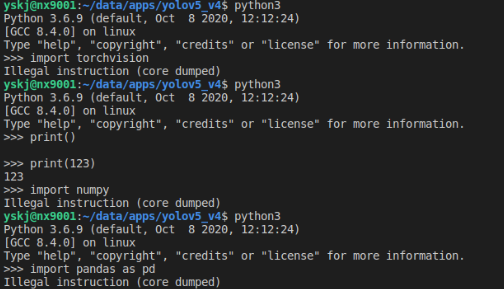 Solve the "Illegal instruction (cpre dumped)" error when using Python on the NVIDIA Jetson ...