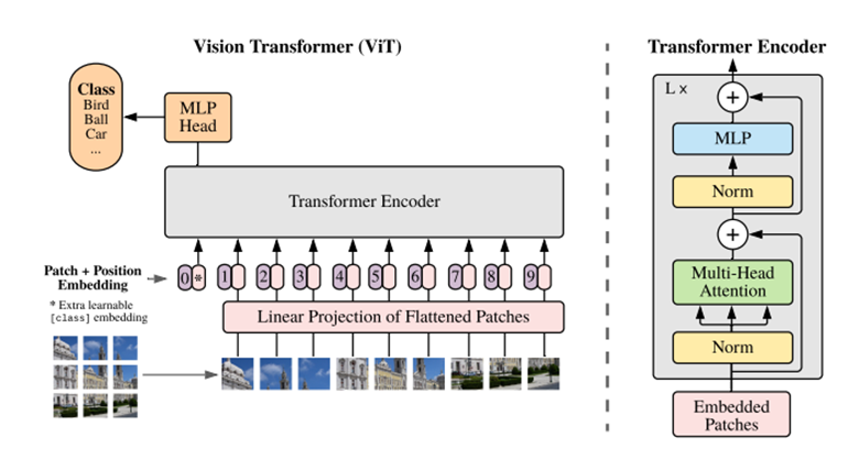 TransUNet-CSDN博客
