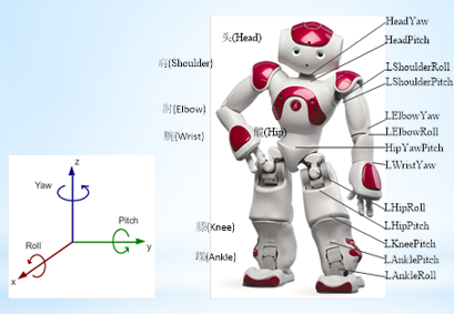 NAO团队任务——运动控制（1）_nao机器人关节名称-CSDN博客